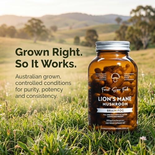 Freeze dried mushrooms for enhanced potency
