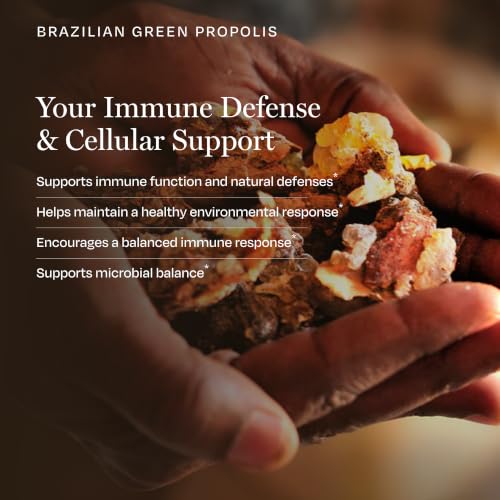 freeze-dried supplements for better absorption