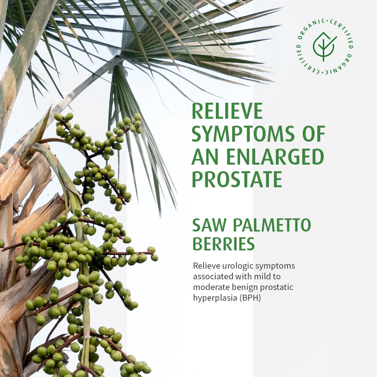 frequent urination support with saw palmetto