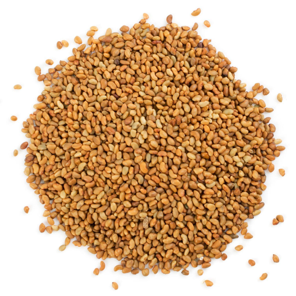 fresh alfalfa sprouts for salads