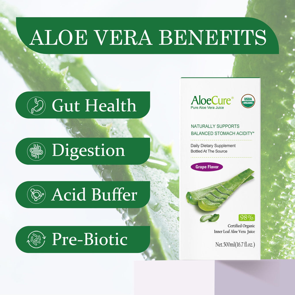 fresh aloe vera juice for immunity