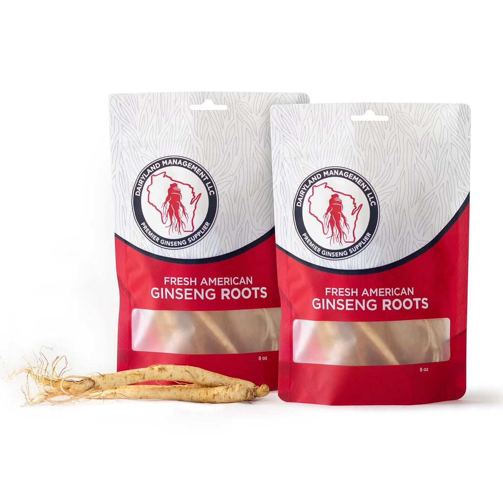 fresh American ginseng roots for health