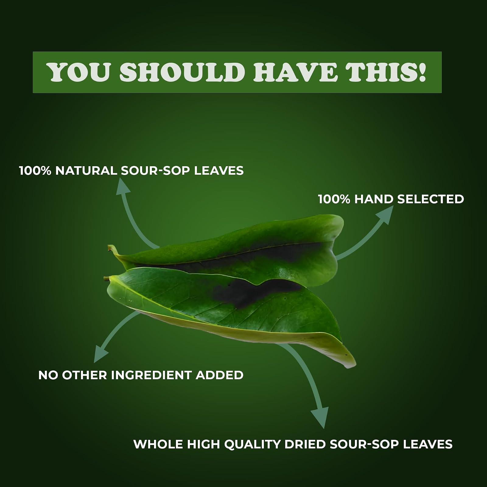 fresh and pure soursop tea