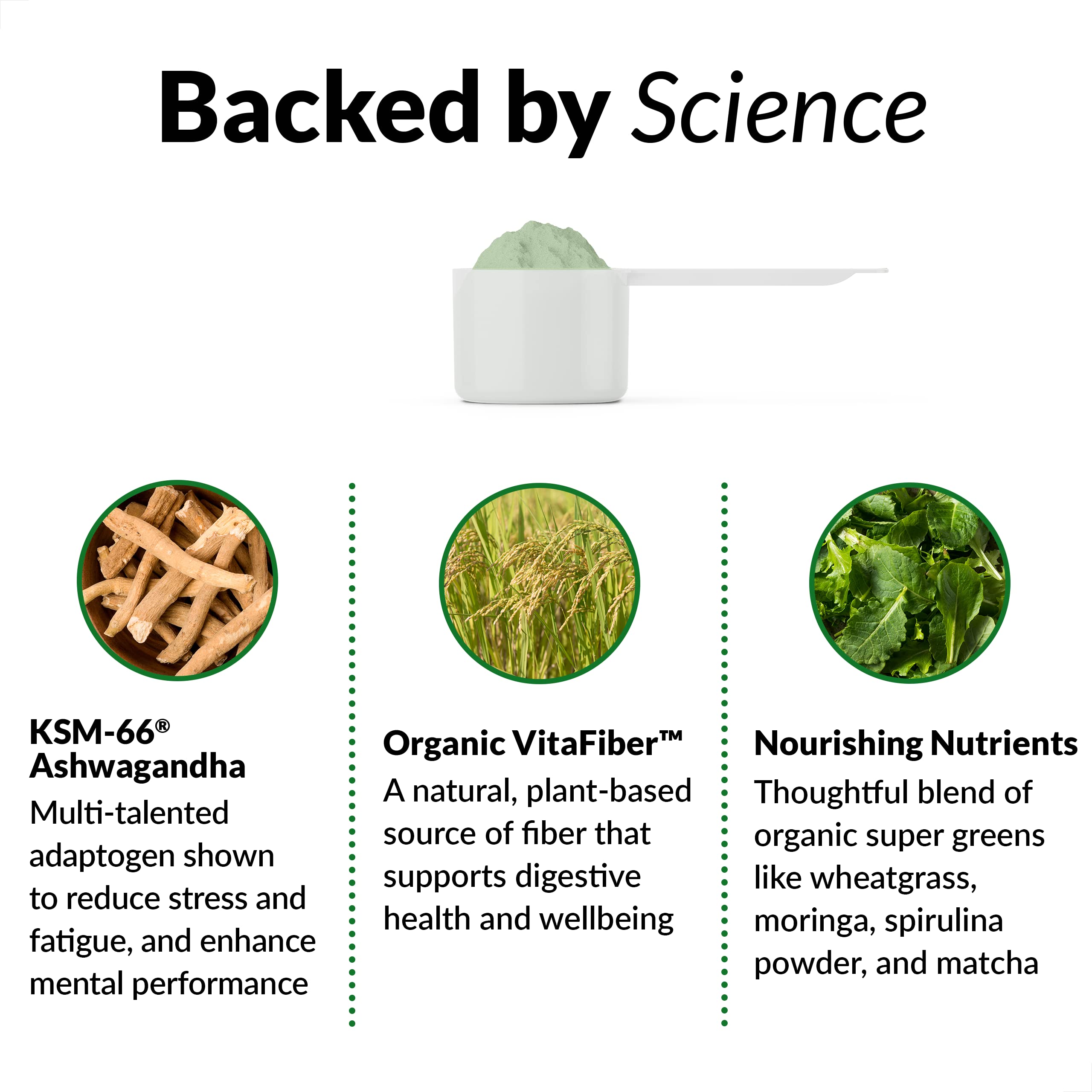 fresh apple flavoured spirulina supplement