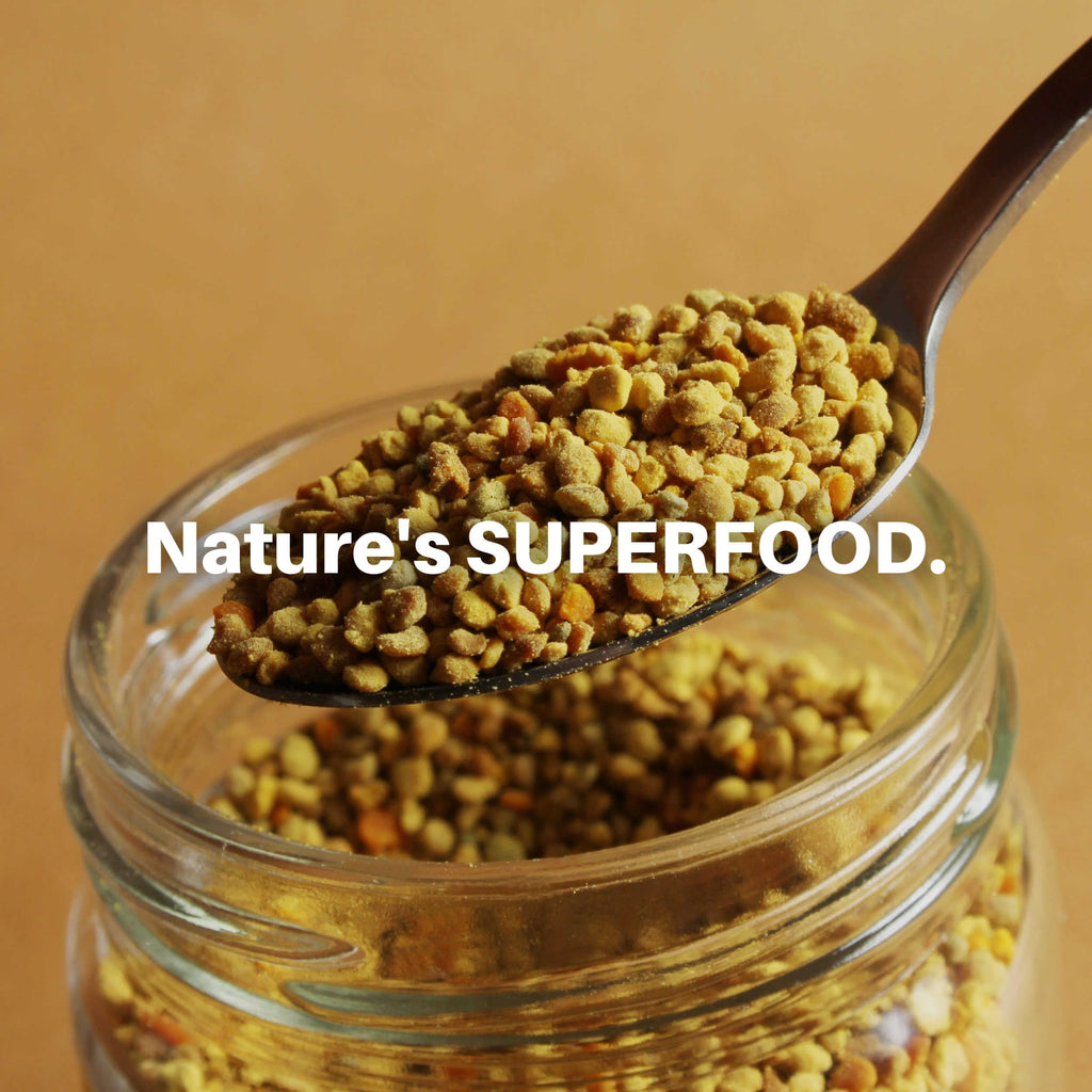 fresh bee pollen for daily wellness