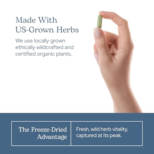 fresh broccoli sprouts for daily nutrition