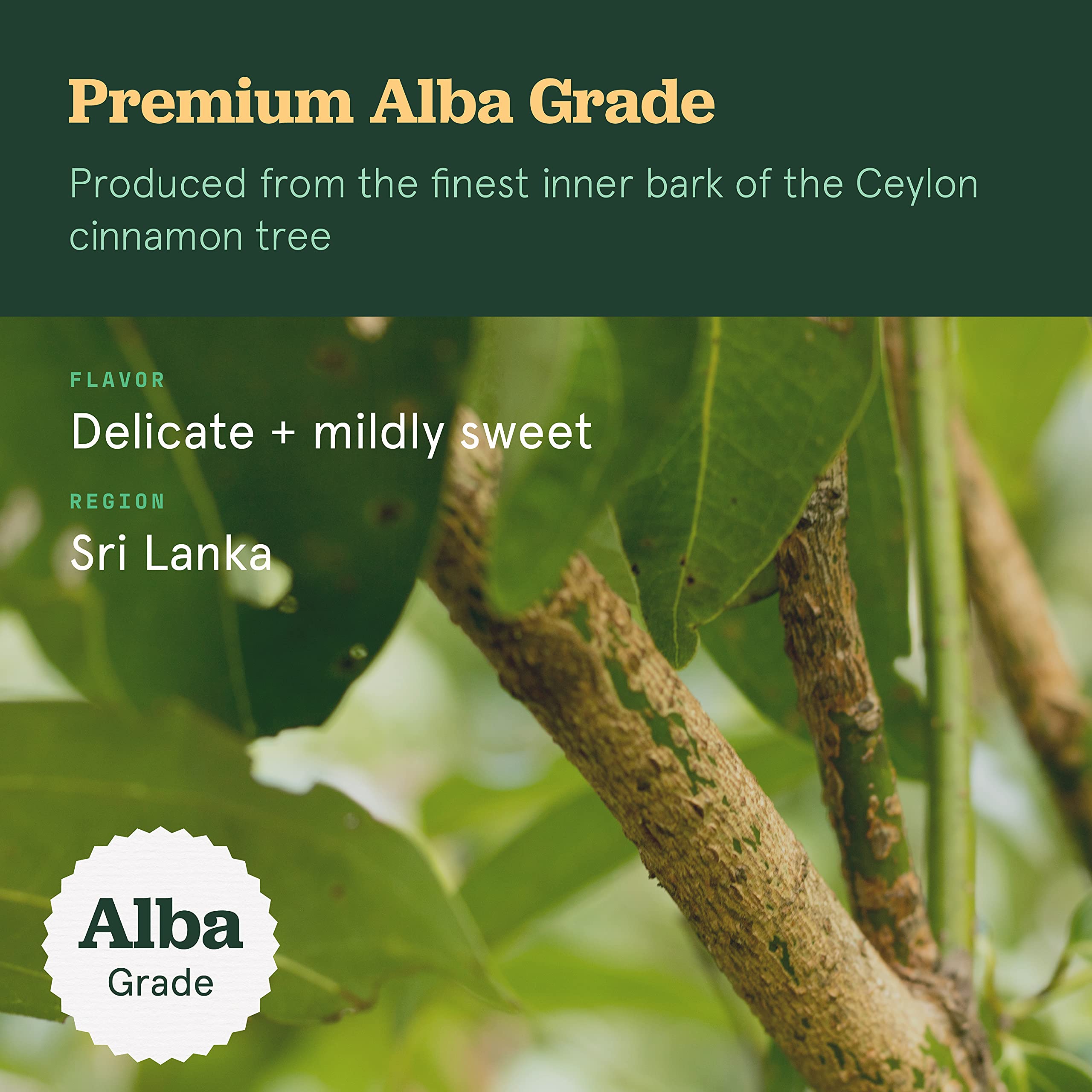 fresh Ceylon cinnamon for baking