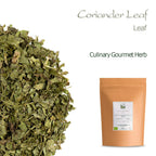fresh cilantro leaf herbal infusion