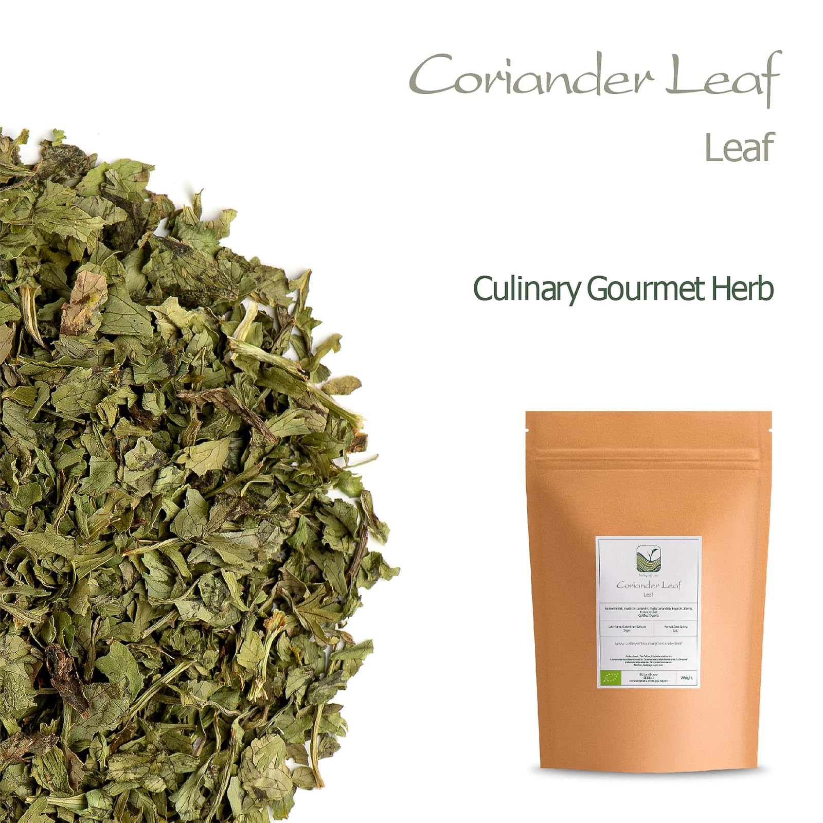 fresh cilantro leaf herbal infusion