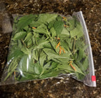 fresh cut Muicle honeysuckle herbs