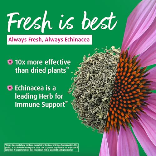 fresh echinacea for daily health