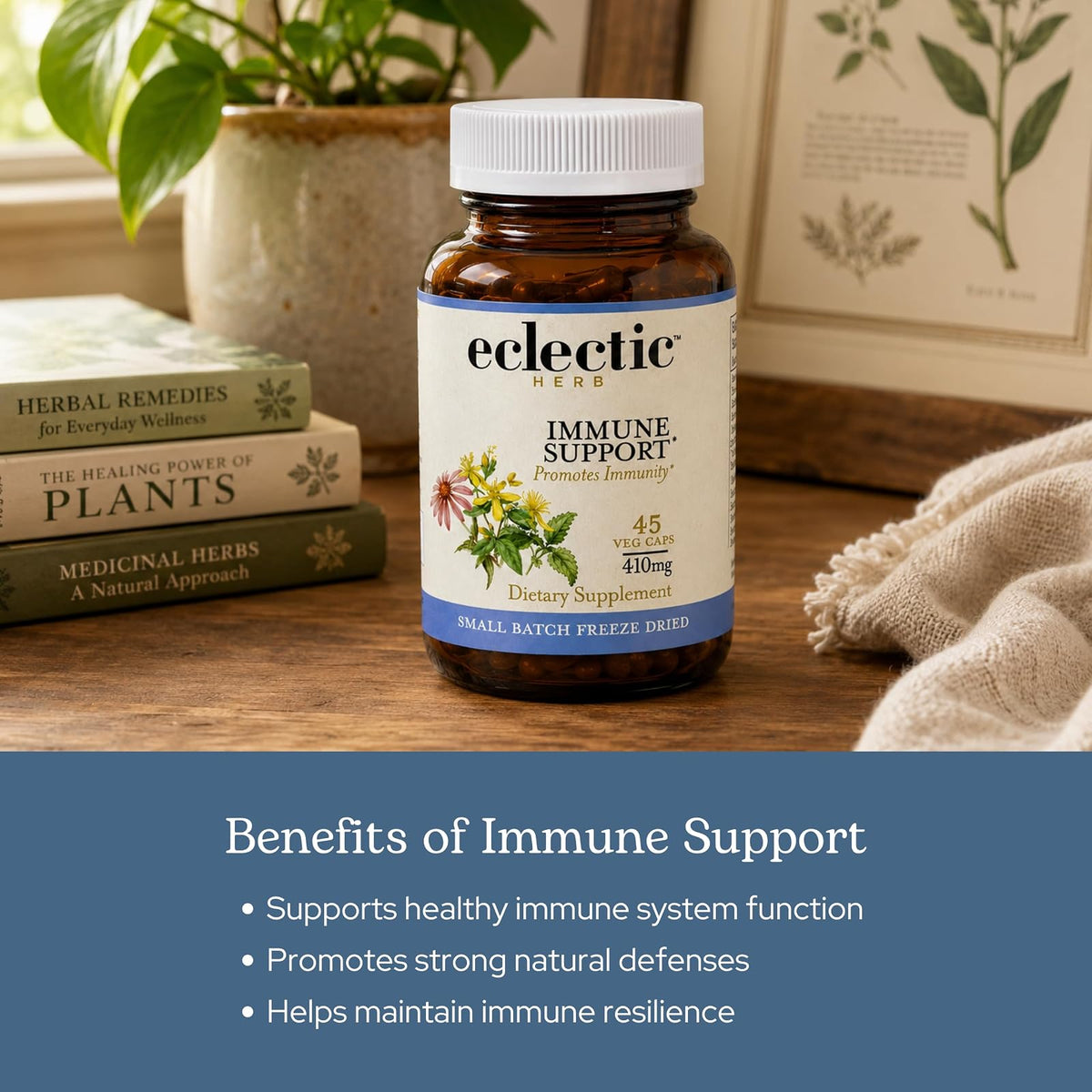 fresh elderberry supplement for health
