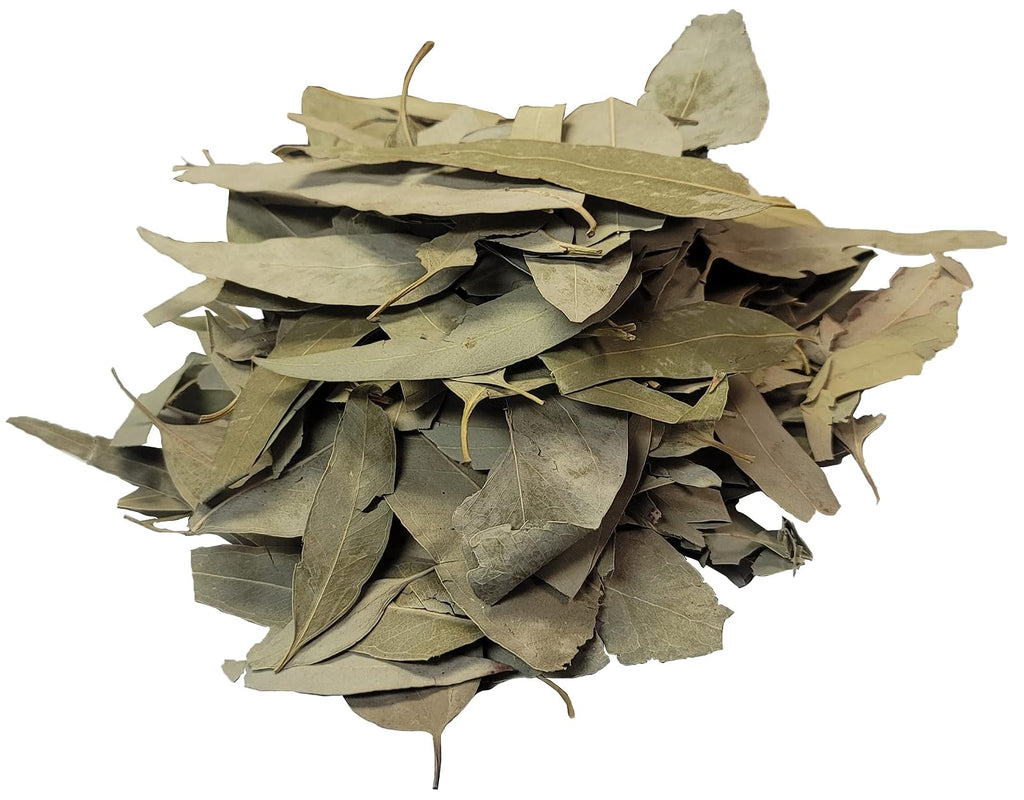 fresh eucalyptus leaves for tea