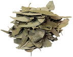 fresh eucalyptus leaves for tea