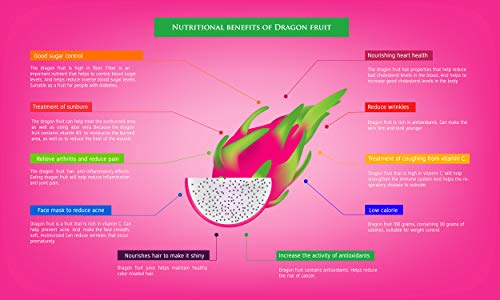Fresh freeze dried dragon fruit nutrition