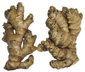 fresh ginger roots for tea