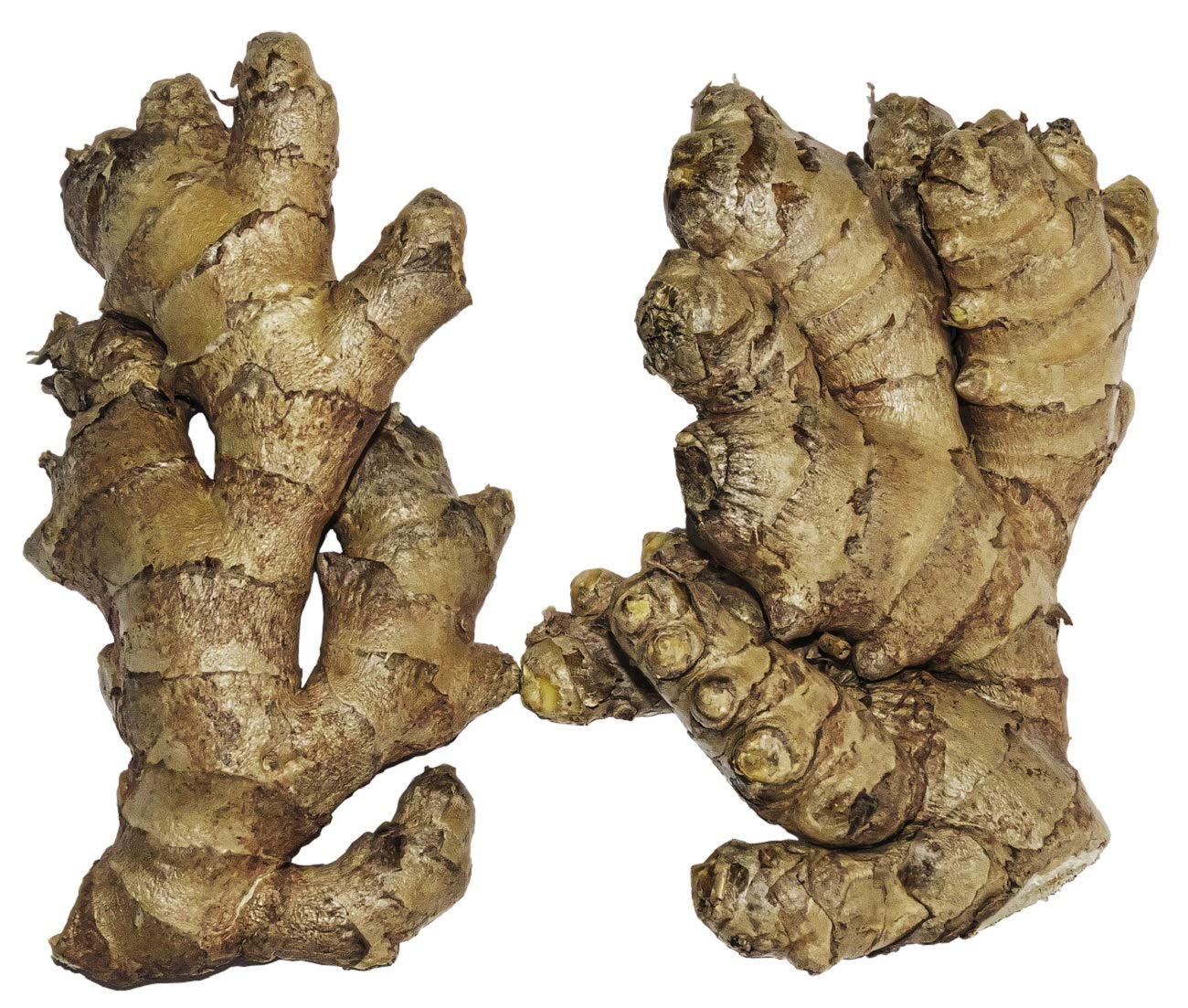 fresh ginger roots for tea