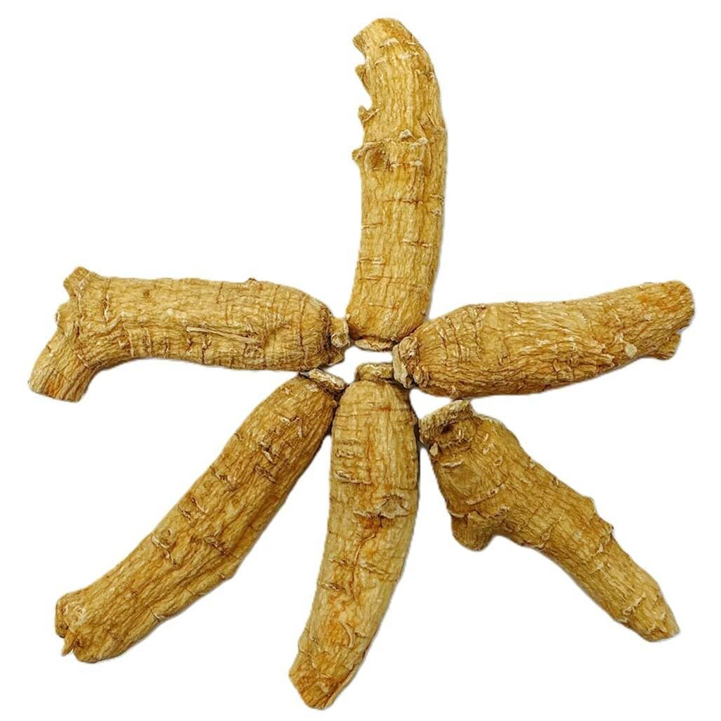 fresh ginseng root for wellness