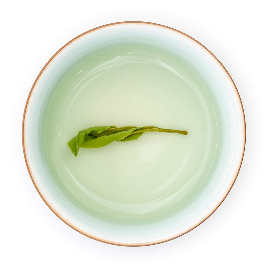 fresh green tea for brewing