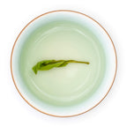 fresh green tea for brewing