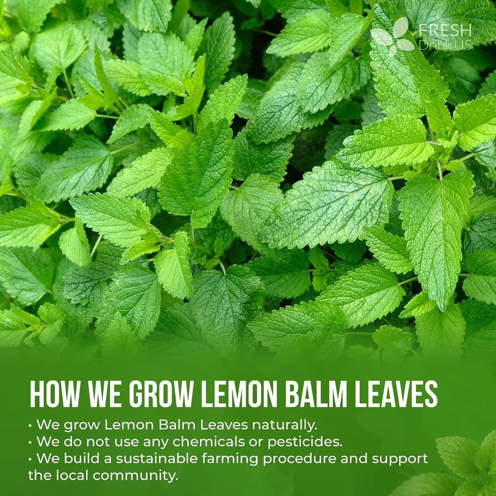 fresh lemon balm powder for tea