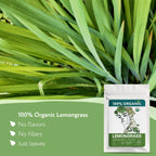fresh lemongrass herbal infusion