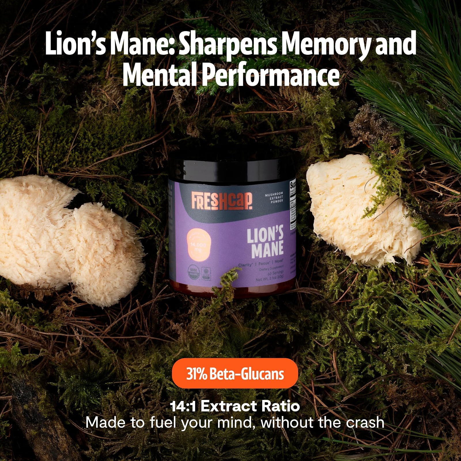 fresh lion's mane extract for wellness