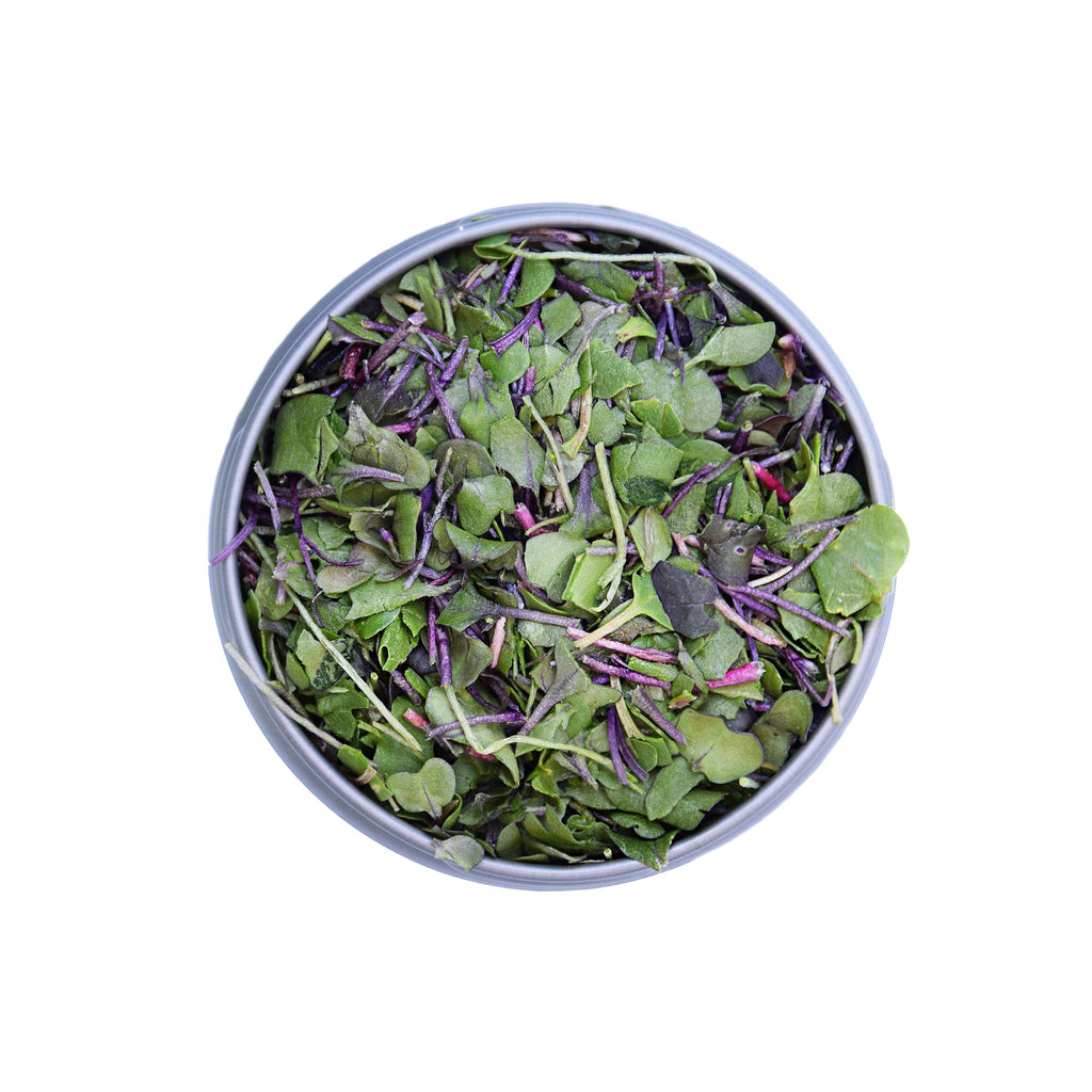 fresh microgreens for vibrant meals