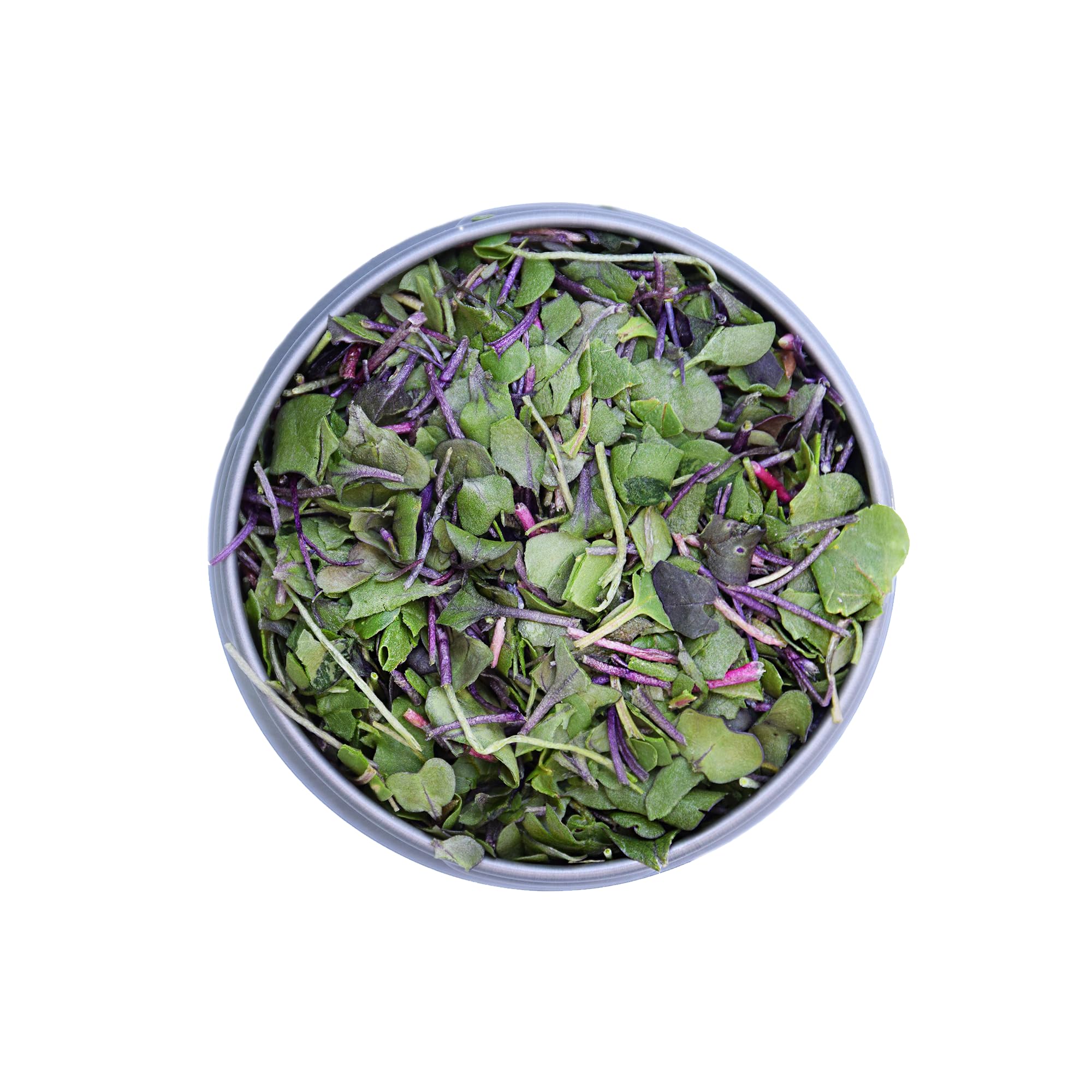 fresh microgreens for vibrant meals
