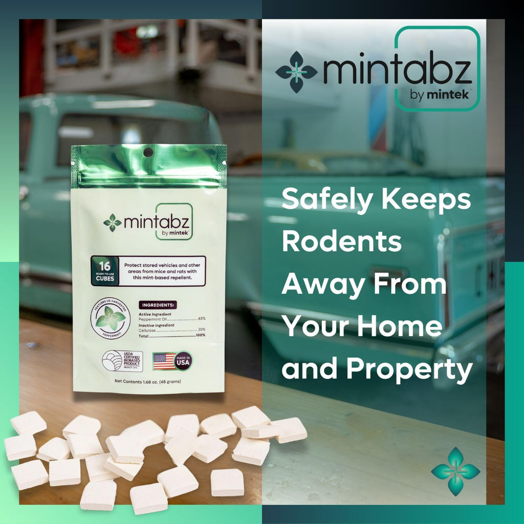fresh mint scent pest solution