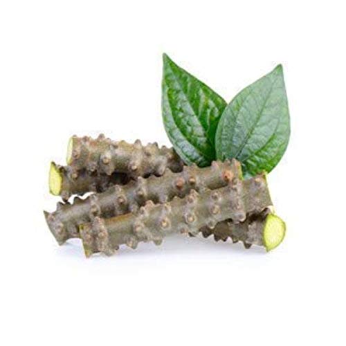 fresh neem giloy herbal supplement