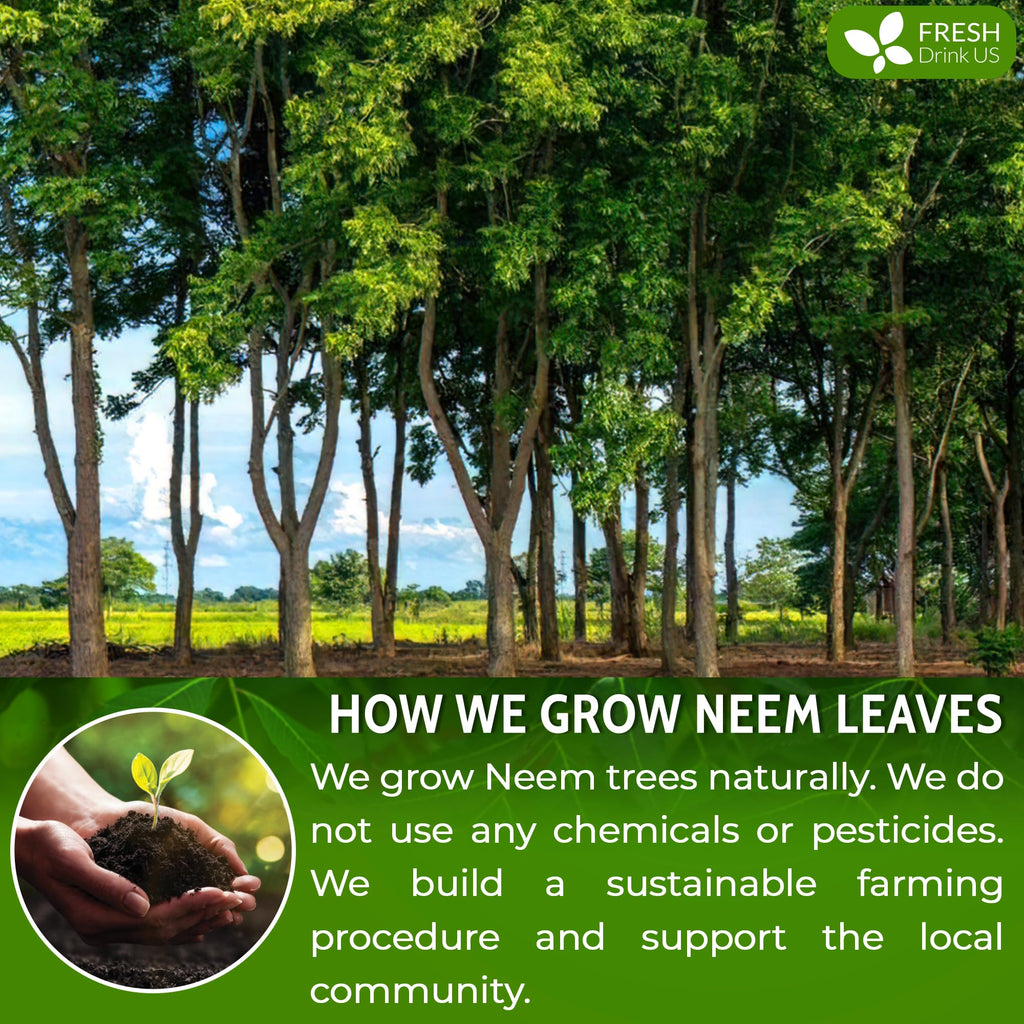 fresh neem leaf powder for beauty