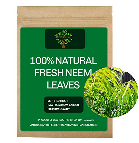 fresh neem leaves for health