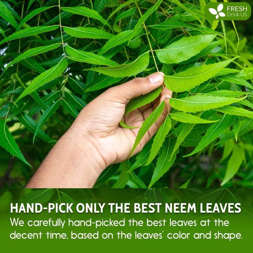 fresh neem powder for beauty