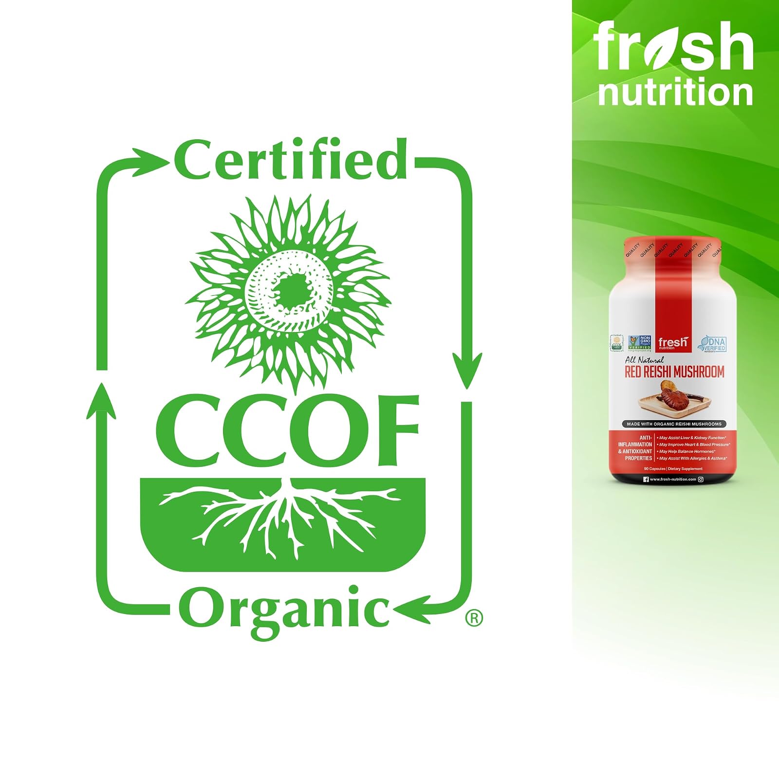 fresh nutrition reishi mushroom