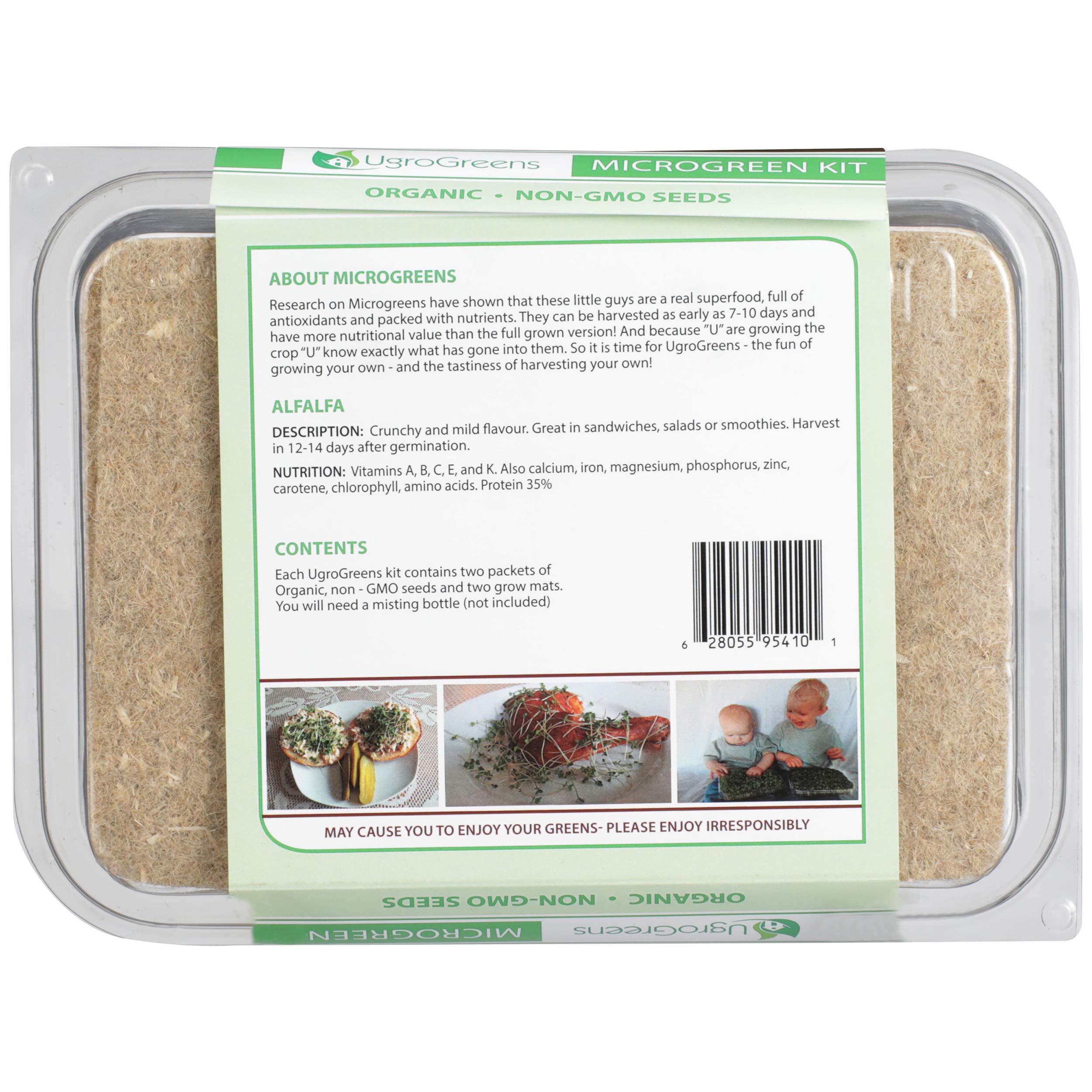 fresh nutritious alfalfa sprouts