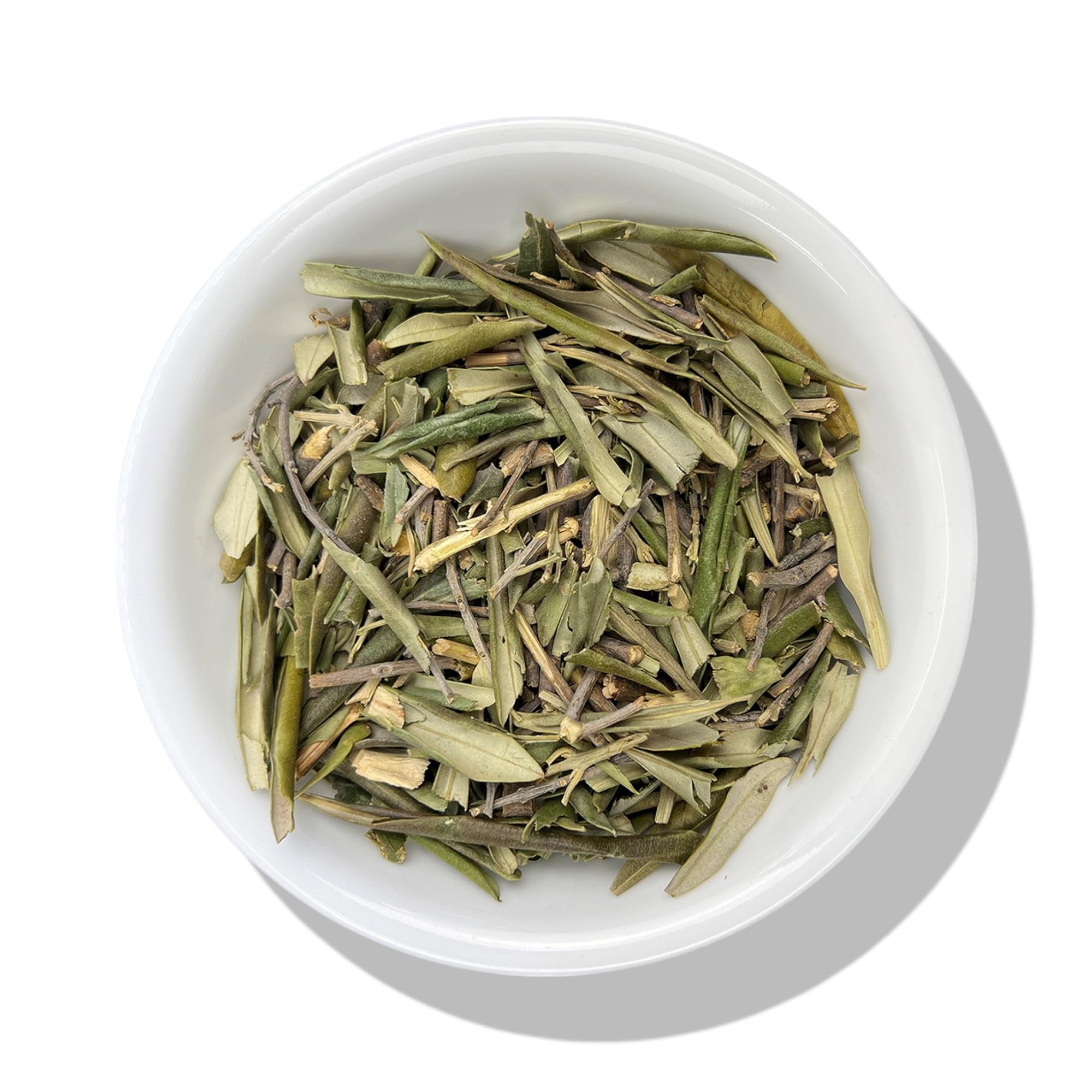 fresh olive leaf extract benefits
