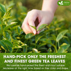 fresh organic matcha for smoothies