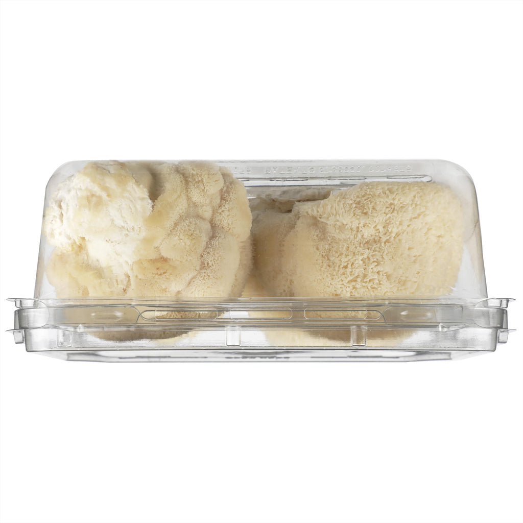 fresh organic mushrooms for natural wellness