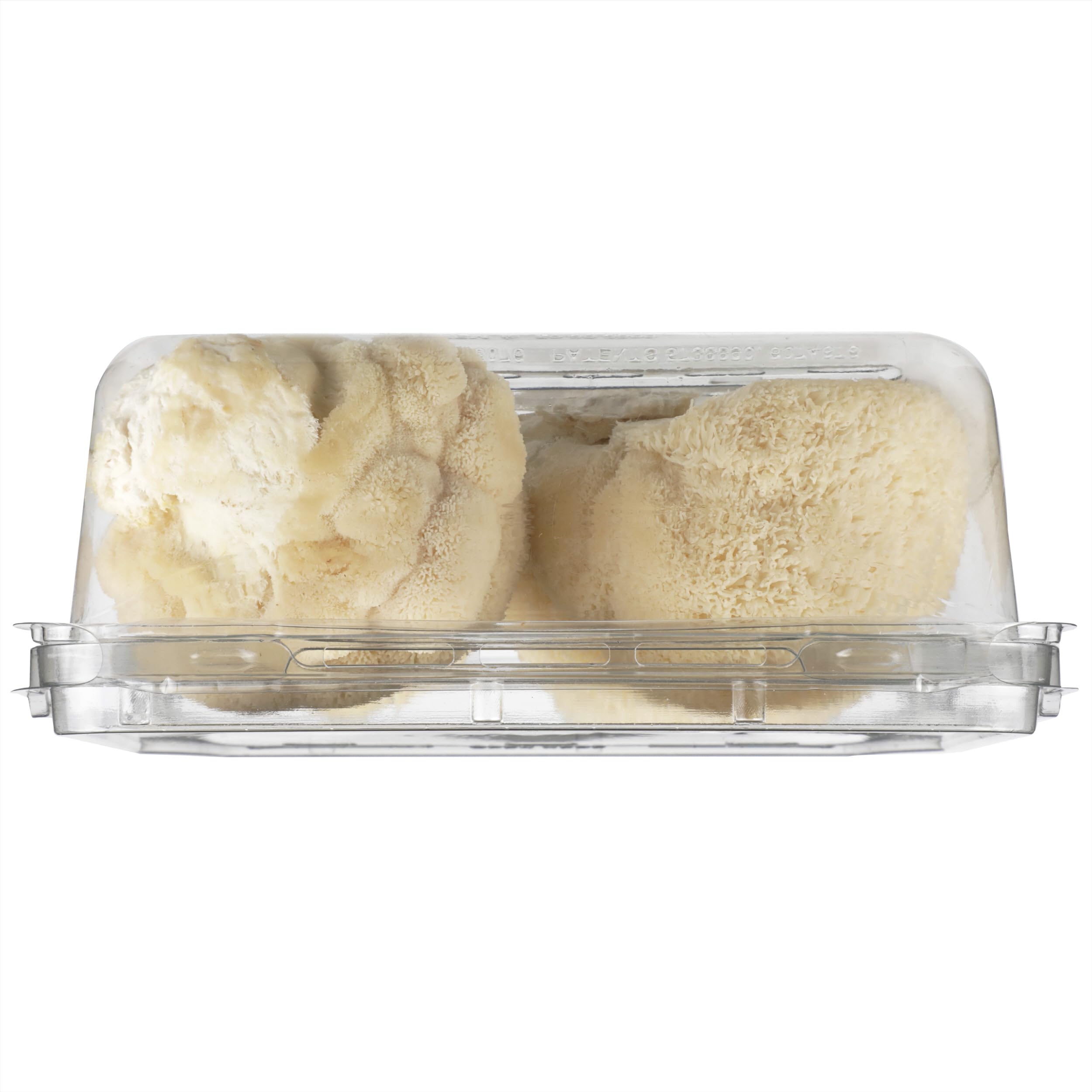 fresh organic mushrooms for natural wellness
