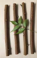 fresh organic neem datun twigs