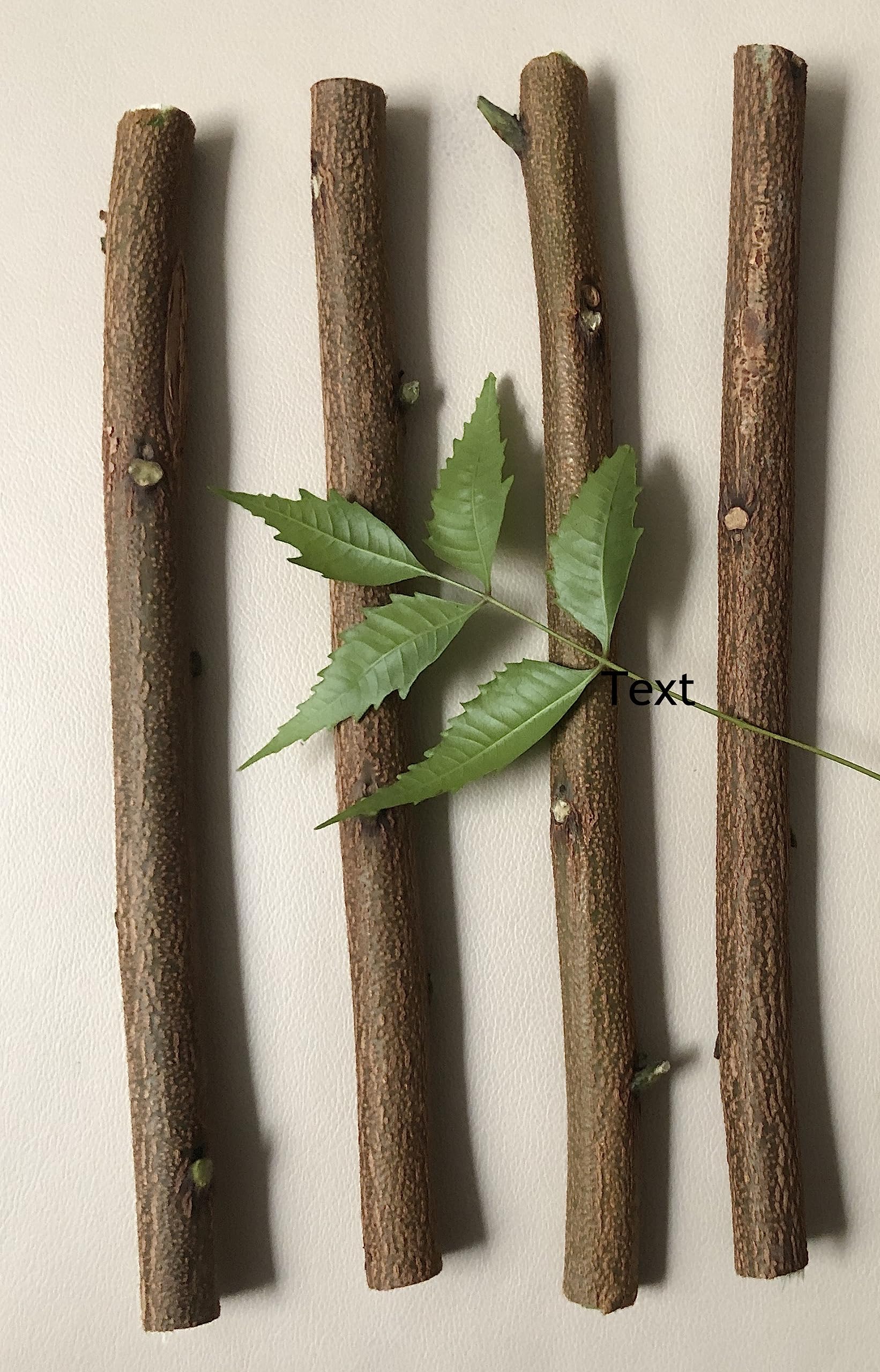 fresh organic neem datun twigs
