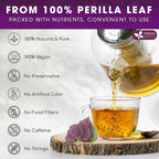 fresh perilla leaf tea for wellness