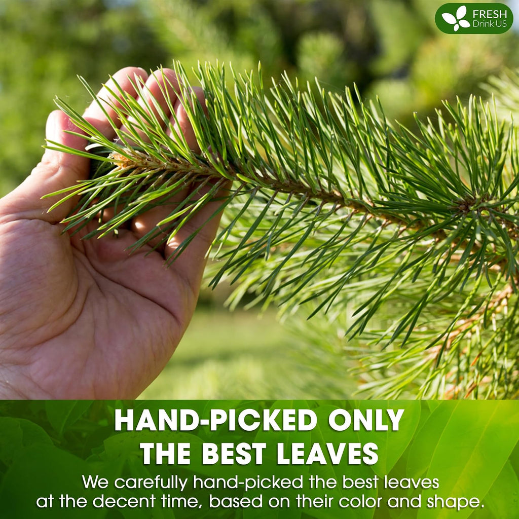 fresh pine needle tea for immune support