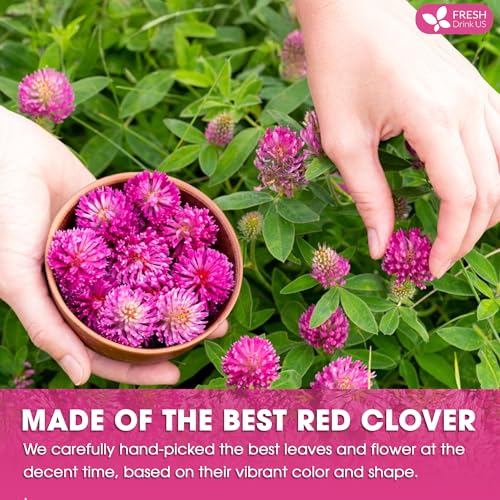 fresh red clover tea for wellness