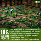 fresh senna tea for wellness