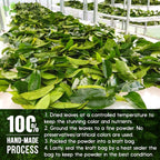 fresh soursop leaves powder for energizing tea