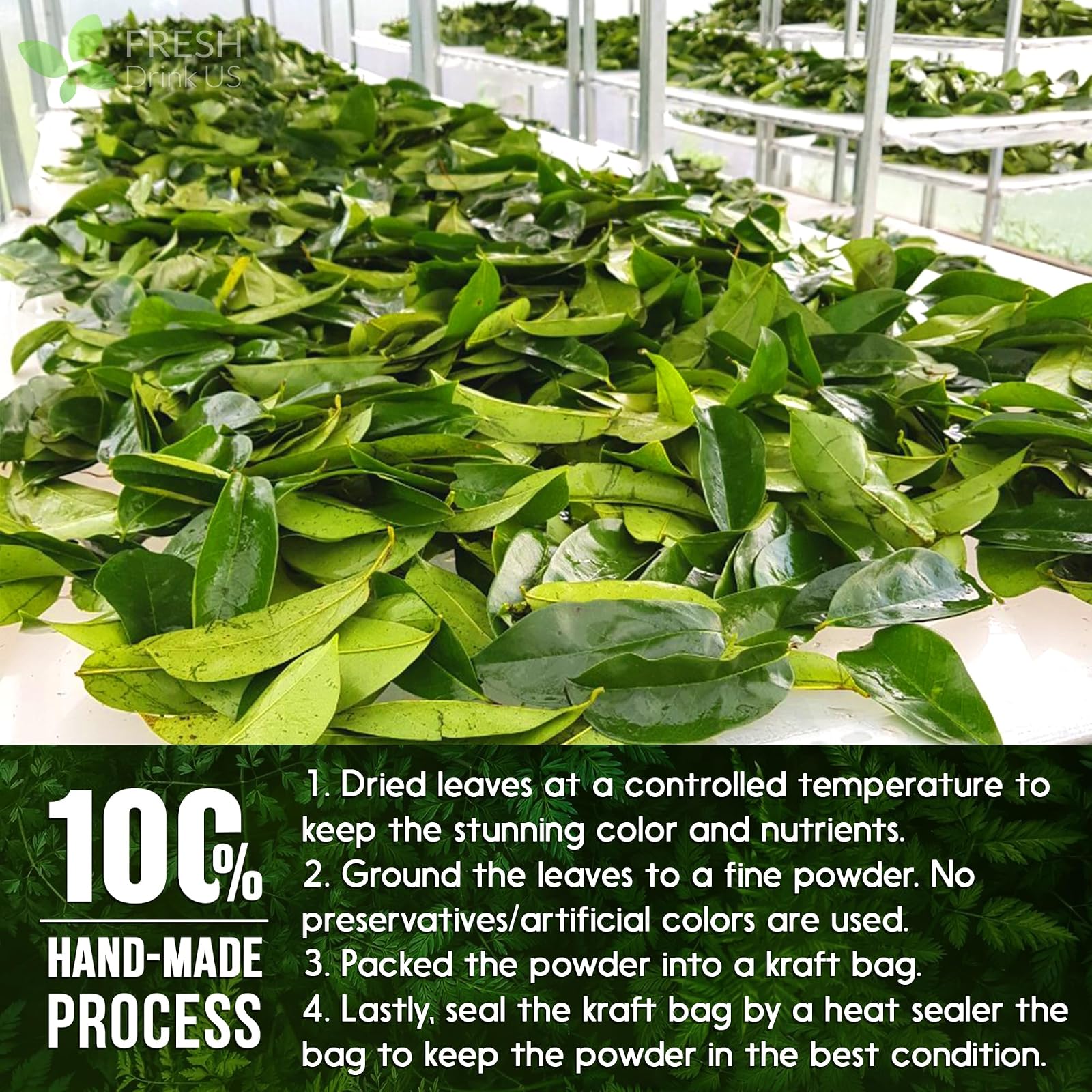 fresh soursop leaves powder for energizing tea
