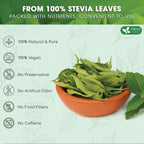 fresh stevia leaves for healthy drinks