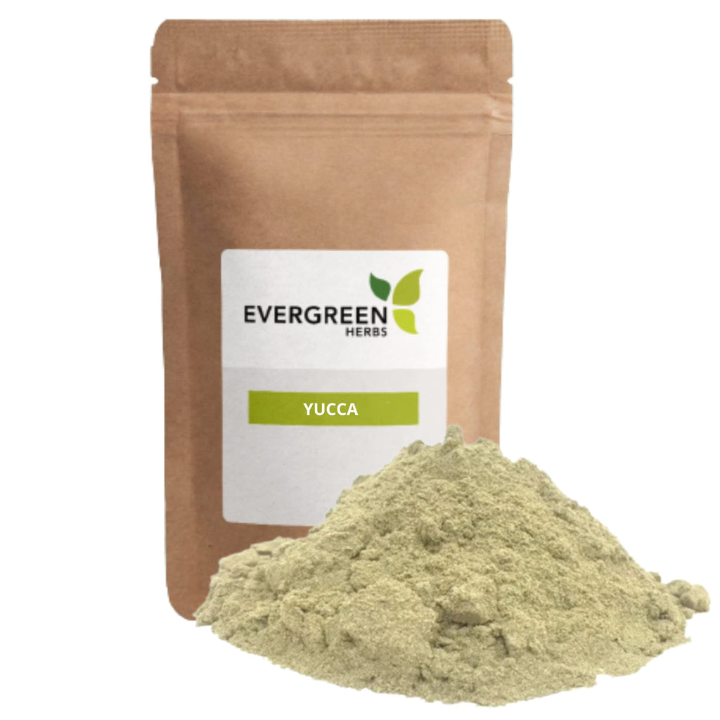 fresh yuca powder for smoothies